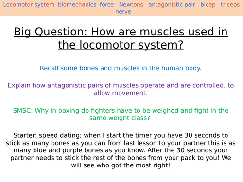 Year 7 Muscles and Moving Lessons (7Cd) | Teaching Resources