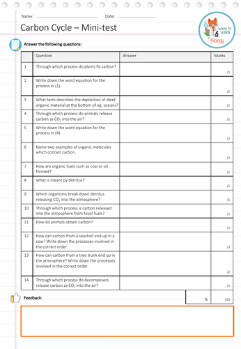 Carbon Cycle - Mini-test (KS4) | Teaching Resources