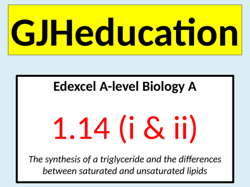 Synthesis of triglycerides (Edexcel A-level Biology A) | Teaching Resources Synthesis of triglycerides (Edexcel A-level Biology A) | Teaching Resources