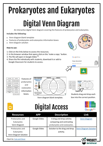 Prokaryotes and Eukaryotes Digital Venn Diagram - Distance Learning ...
