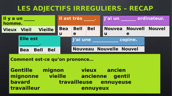 Irregular adjectives oral activities French | Teaching Resources