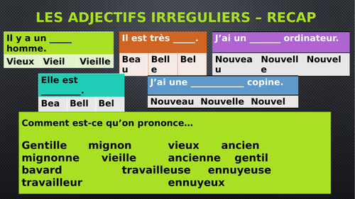 Irregular adjectives oral activities French | Teaching Resources