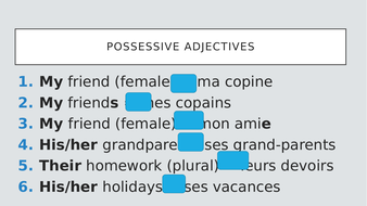 Possessive adjectives activities French | Teaching Resources