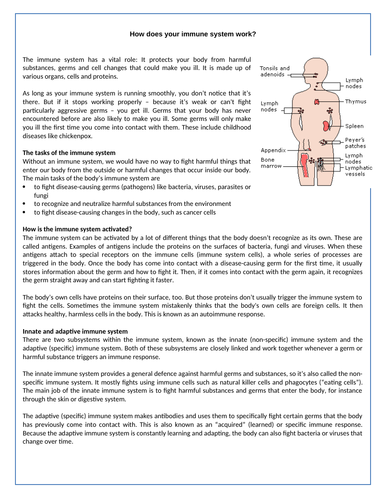 How does your immune system work? - Reading Comprehension Text ...