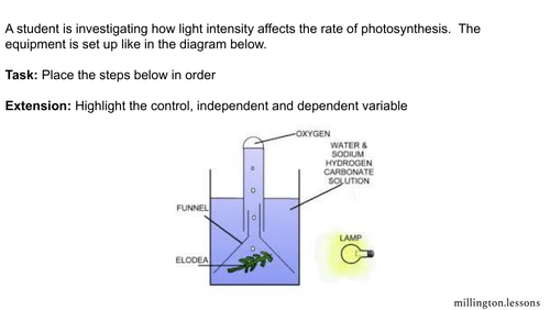 Ordering steps: How light intensity affects the rate of photosynthesis ...