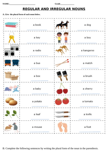 REGULAR AND IRREGULAR NOUNS | Teaching Resources