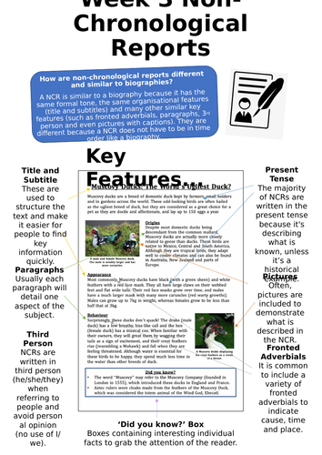 Non-Chronological Report - Work Booklets (Distance Learning) | Teaching ...