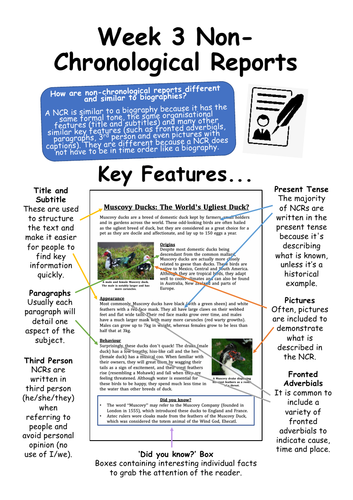 Non-Chronological Report - Work Booklets (Distance Learning) | Teaching ...
