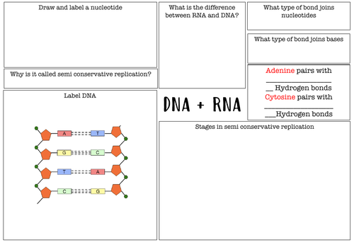 A-Level Biological Molecules Revision sheets | Teaching Resources