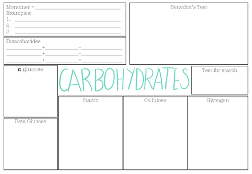 A-Level Biological Molecules Revision sheets | Teaching Resources