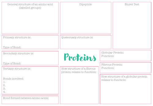A-Level Biological Molecules Revision sheets | Teaching Resources
