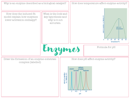 A-Level Biological Molecules Revision sheets | Teaching Resources
