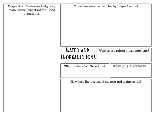 A-Level Biological Molecules Revision sheets | Teaching Resources