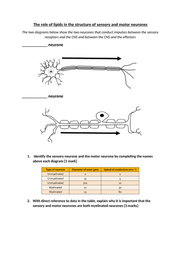 Structure & functions of triglycerides (CIE A-level Biology) | Teaching ...