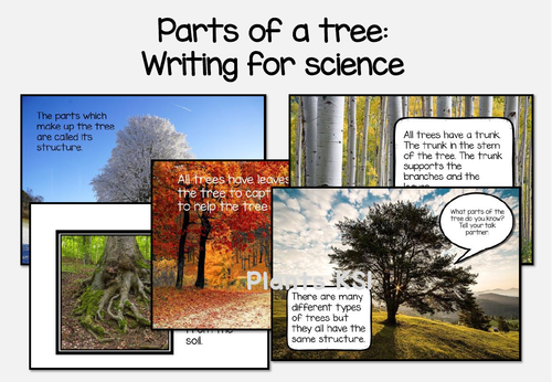 KS1 trees: writing for science | Teaching Resources