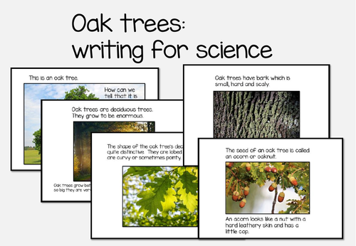 KS1 trees: writing for science | Teaching Resources
