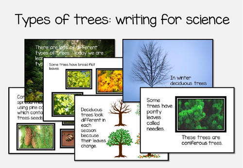 KS1 trees: writing for science | Teaching Resources