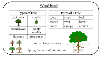 KS1 trees: writing for science | Teaching Resources