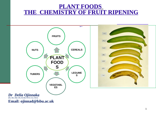 Food science unit- Foodology | Teaching Resources