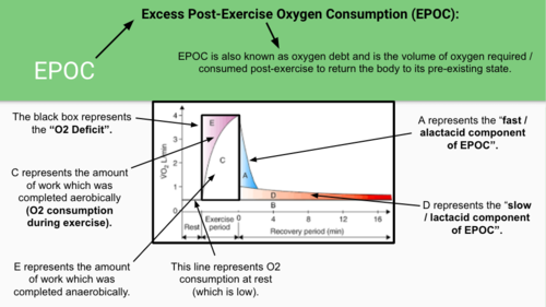 A-Level PE (OCR): EPOC / Recovery | Teaching Resources A-Level PE (OCR): EPOC / Recovery | Teaching Resources