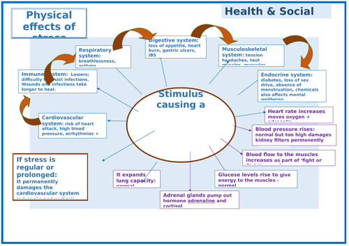 Effects of stress - Health & Social Care or Psychology resource ...