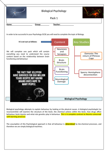 Edexcel GCSE Psychology - Biological Psychology - Neurons & Synapses ...