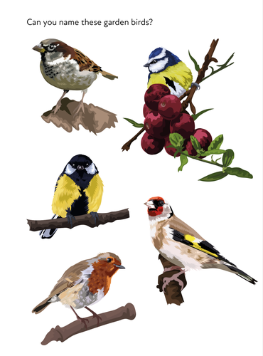 ‘Pom Pom Stays Alert In The Garden’ A Fun Writing And Drawing Activity ...