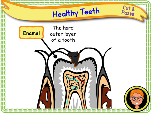 Teeth | Teaching Resources