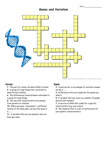 Genetic and environmental variation - KS3 Low Ability | Teaching Resources