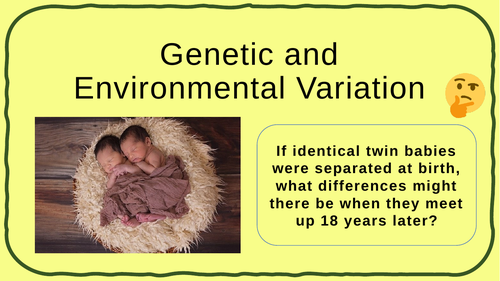 Genetic and environmental variation - KS3 Low Ability | Teaching Resources