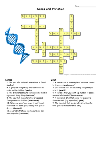 Genetic and environmental variation - KS3 Low Ability | Teaching Resources