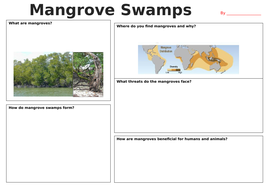 IGCSE Geography - Coasts - Lesson 6 | Teaching Resources
