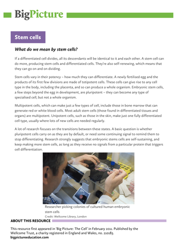 Stem Cells PPT - GCSE Biology | Teaching Resources
