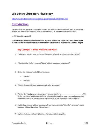 Intro to Circulatory System Lab Simulation | Teaching Resources