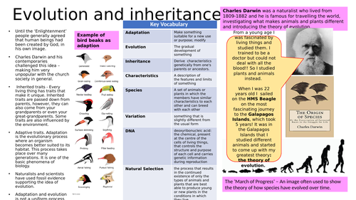 Evolution Knowledge Organiser | Teaching Resources