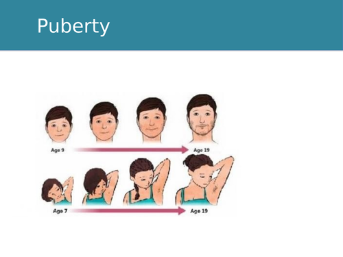 Emotions in Puberty Remote/Home Learning | Teaching Resources