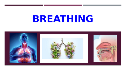 Breathing | Teaching Resources