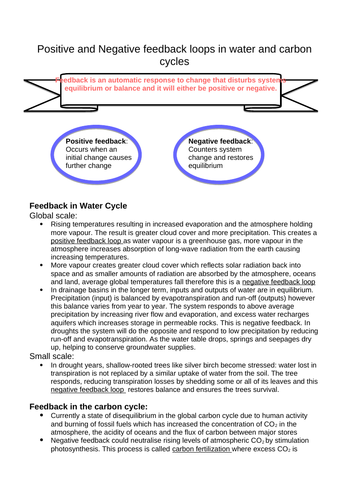 A level OCR positive and negative feedback loops in water and carbon ...