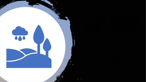 The carbon and nitrogen cycle- A Level Biology | Teaching Resources