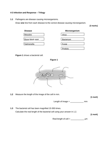 4-3 Infection and response - AQA GCSE 30 minute test and mark scheme ...