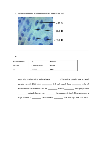 Mitosis Supplementary Slides and Worksheet (GCSE Biology AQA) | Teaching Resources