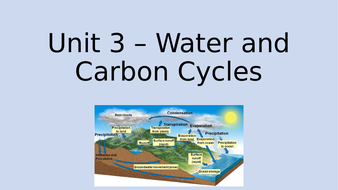 Water & Carbon Cycles - Geography A Level | Teaching Resources