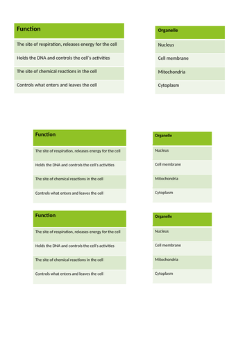 Year 7 Cells Topic.7 Lessons | Teaching Resources