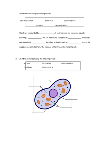 Cell Structure Slides and Worksheet (GCSE Biology OCR) | Teaching Resources Cell Structure Slides and Worksheet (GCSE Biology OCR) | Teaching Resources