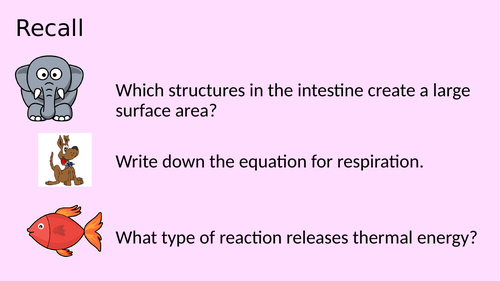 Year 8 - Reactions of Metals (7 lessons) | Teaching Resources