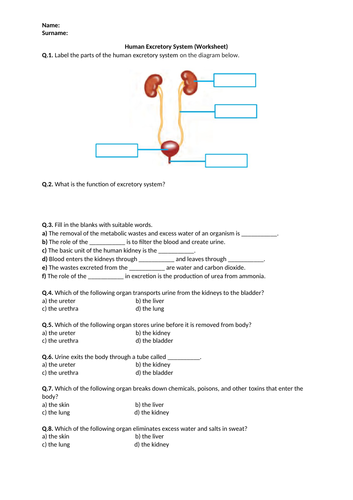 Human Body Systems Worksheets | Distance Learning | Teaching Resources