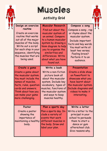 Muscles Activity Grid | Teaching Resources