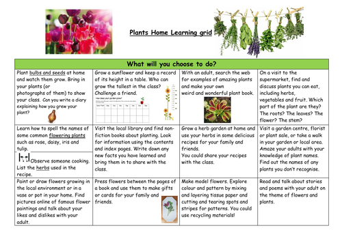 Plant Homework Grid | Teaching Resources