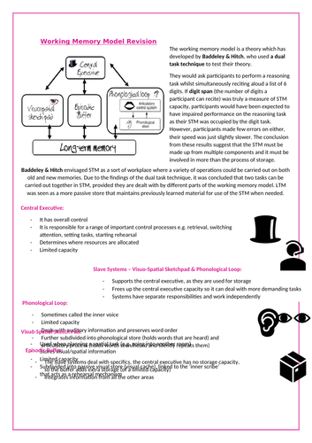 A Level Psychology Working Memory Model Pack | Teaching Resources