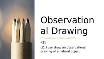 Observational Drawing | Teaching Resources